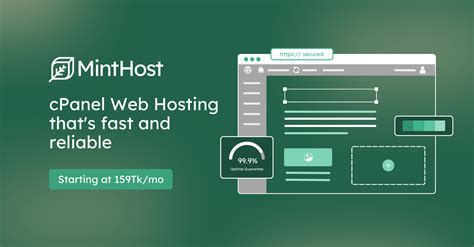 Shared Cpanel Web Hosting At An Affordable Price