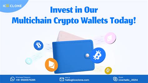 a beginner s guide to multichain crypto wallet why do you need one