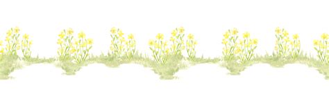 Yellow Grass Pngs For Free Download