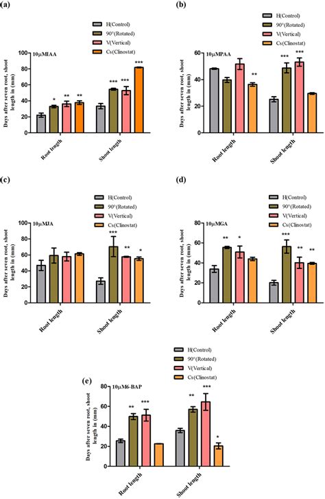 Rice Oryza Sativa L Cv Nagdong Root Length And Shoot Length After