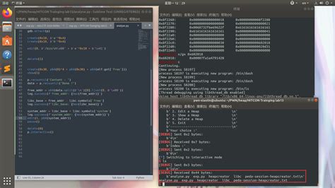 HITCON Trainging lab13CTFwiki CSDN博客
