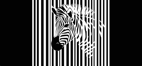 Zxing Barcode Scanner Tutorial Scanbot Sdk