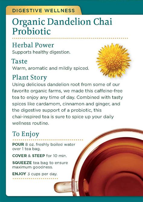 Traditional Medicinals Tea Organic Dandelion Chai