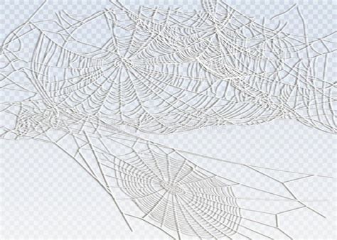 Collection Of Cobweb Isolated On Black Transparent Background Stock Vector Illustration Of