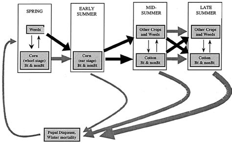 Sequential Host Use By H Zea In Eastern North Carolina Through Four