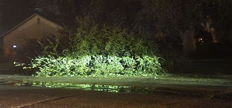 Evening Downpour Wind Does Damage In Reedley Mid Valley Times