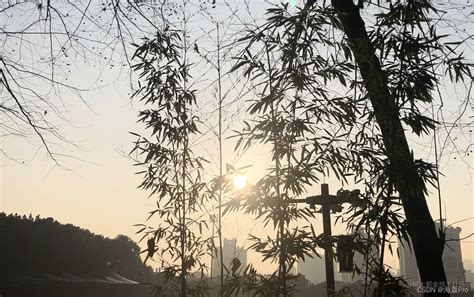 【论文阅读｜浅读】spatial Variational Auto Encoding Via Matrix Variate Normal Distributio 掘金