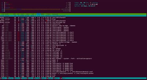 isn t my htop weird on my ubuntu server 12 04 ask ubuntu