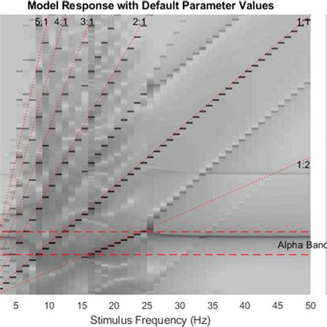 The Two Dimensional Plot Of The Model Responses To Stimulation