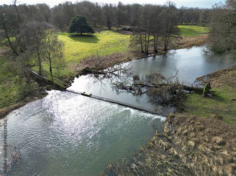 Pair Of Fallen Mature Trees Seen Laying In A Fast Moving River In The UK The Trees Subjected
