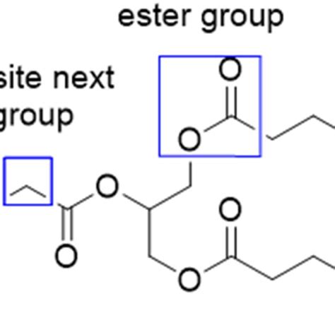 Four Main Active Sites Of Triglycerides Download Scientific Diagram