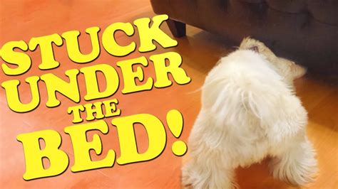 Help Its Stuck Under The Bed Youtube