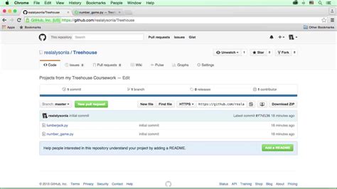 Using Issues How To Github Basics Treehouse