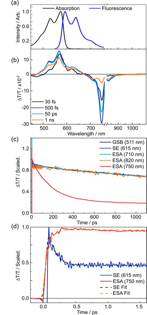 Steady State And Time Resolved Spectroscopic Characterisation Of Download Scientific Diagram