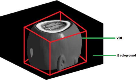 extracted volume of interest voi using selective bounding volume download scientific diagram
