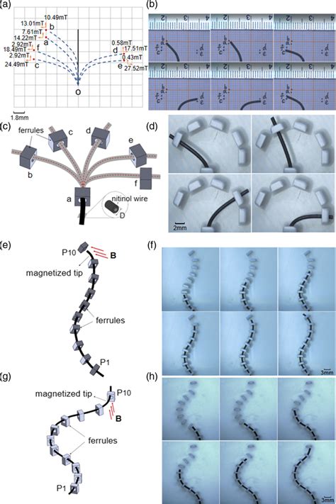 Demonstration Of The Positioning Accuracy And Navigation Process A Download Scientific