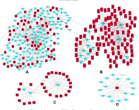 Figure 9 From Transcriptome Analysis Of Ovarian Tissues Highlights Genes Controlling Energy