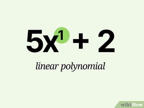 How To Solve Polynomials