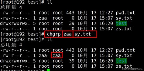 Linux 实操指令用 A 选项列出此目录下包括隐藏文件在内的所有文件和目录。 Ai Csdn博客 Linux 实操指令用 A 选项列出此目录下包括隐藏文件在内的所有文件和目录。 Ai Csdn博客