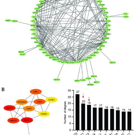 Scheme 1 Photoredox Reaction Of The Natural Renieramycins Download