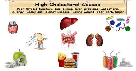 High Cholesterol Causes 8 Unexpected Causes Of High Cholesterol