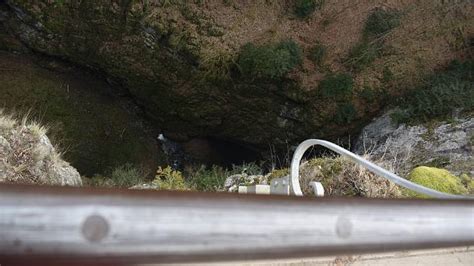 Na Dn Macochy Na Li Mrtvou Enu Jedn Se O Matku Ob Ti St Elby Na Fakult Pra Sk Den K