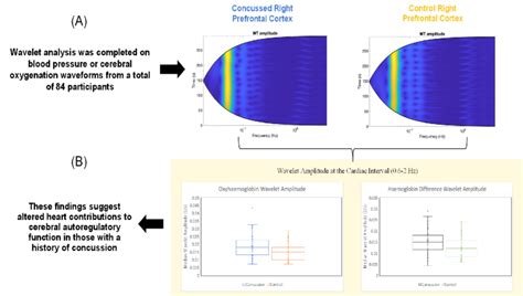 Central Figure Displays The Wavelet Transformation Analysis Panel A Download Scientific