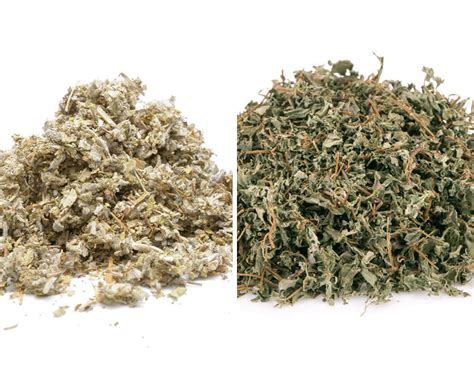 Here S How To Differentiate Between Weed And Oregano