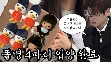 브리즈 브이로그 30만원 라이즈 발렌타인데이 엠디깡 • 똘병 4마리 입양완료 • 또프 Youtube