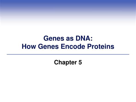 PPT Genes As DNA How Genes Encode Proteins PowerPoint Presentation Free Download ID 5365334