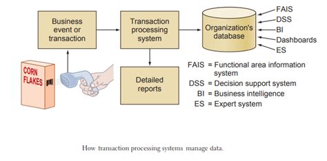 Transaction Processing System Examples Lamarqistokes