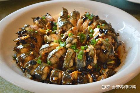 哪些淡水鱼好吃还没刺 知乎