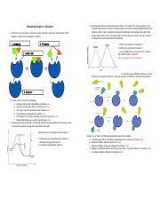 Understanding Enzymes Functions And Interactions Course Hero