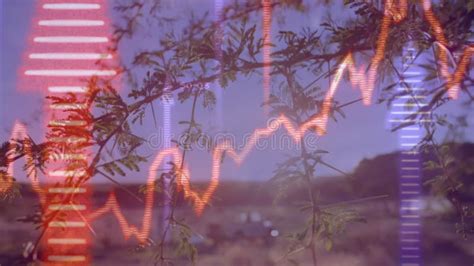 After Pause Neon Waveform Fading In On Branch Tracing Fluctuating Data And Sliding Arrow Markers