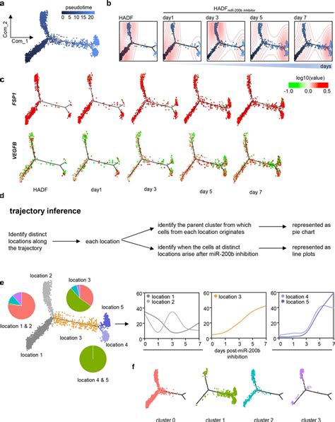 Single Cell Trajectory Analysis Identify Fibroblast Subpopulation State Download Scientific