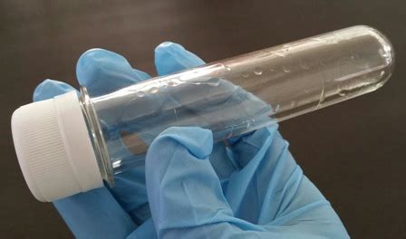 How To Extract DNA At Home Easy Science Project