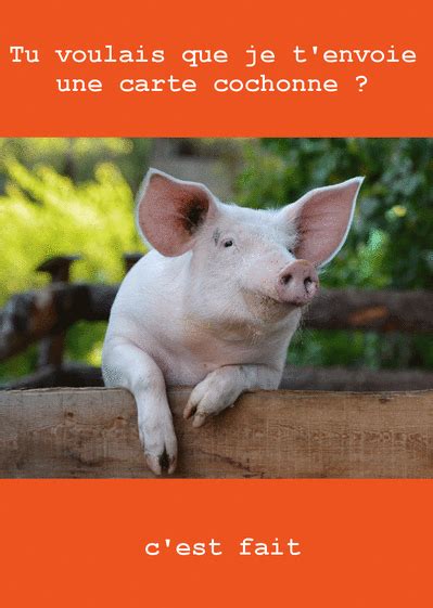 Carte Envoyer Une Cochonne Envoyer Une Carte Humour Dès 099€ Merci Facteur