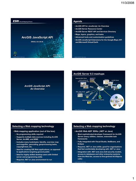 Arcgis Server Javascript Api Pdf