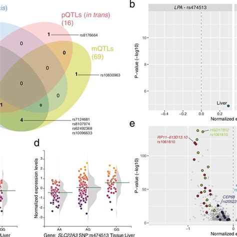 Tissue Shared Eqtls For Diabetes Associated Snps A Overlap Between Download Scientific Diagram