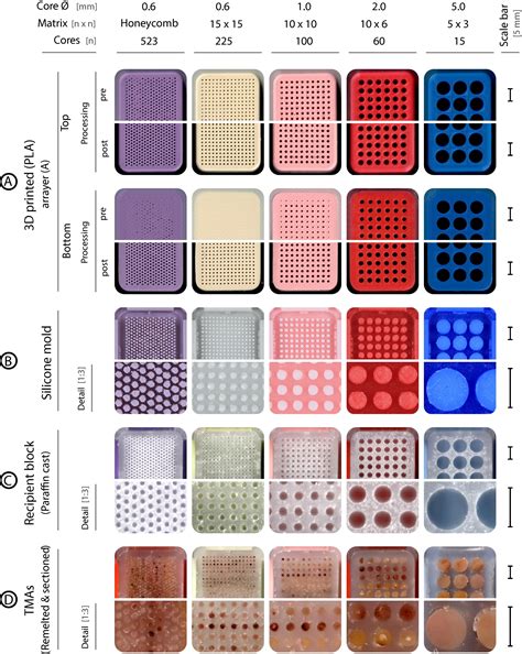 Tma Mate An Open Source Modular Toolkit For Constructing Tissue Microarrays Of Arbitrary