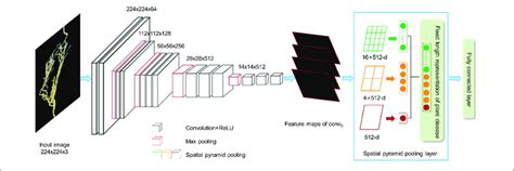 Cnn Based Network For Feature Extraction Relu Rectified Linear