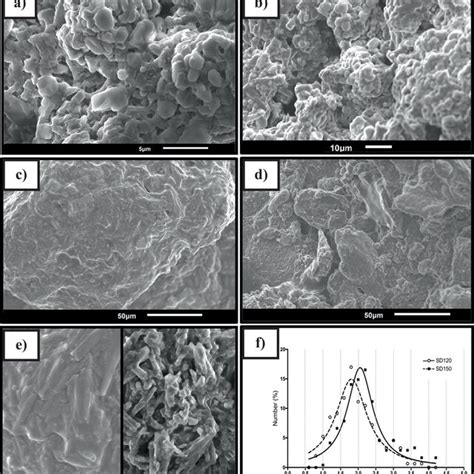 Morphological Characterization Of Extracts Ae Scanning Electron