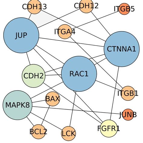 visualization of generated induced network and dense subgraphs using