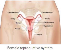 Leave A Comment Cancel Reply