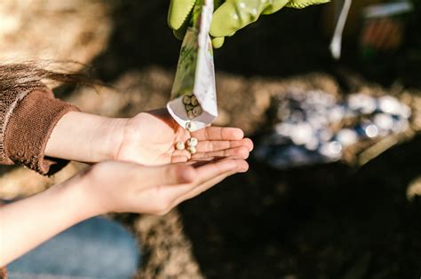 Propagating Plants By Seeds Kentucky Hort News
