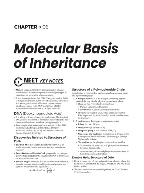 Molecular Basis Of Inheritance Pdf Operon Translation Biology