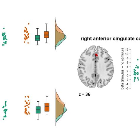 Regions Of Interest Where Processing Of Somatosensory Stimuli Was Download Scientific Diagram