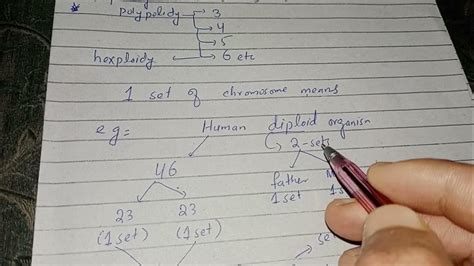 Concept Of Diploid Haploid And Monoploid Number Of Chromosomes Bio