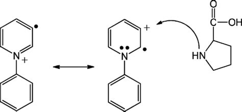 傅里叶变换离子回旋共振质谱仪中带电苯基自由基对氨基酸的反应性和选择性 Journal Of The American Chemical Society X Mol