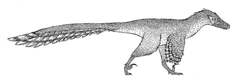 Could Pyroraptor Swim A To Z Dinosaurs